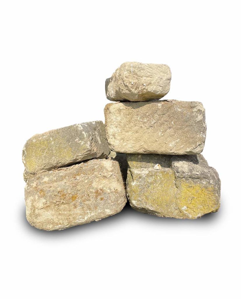 Jardiffusion : Molasse de taille