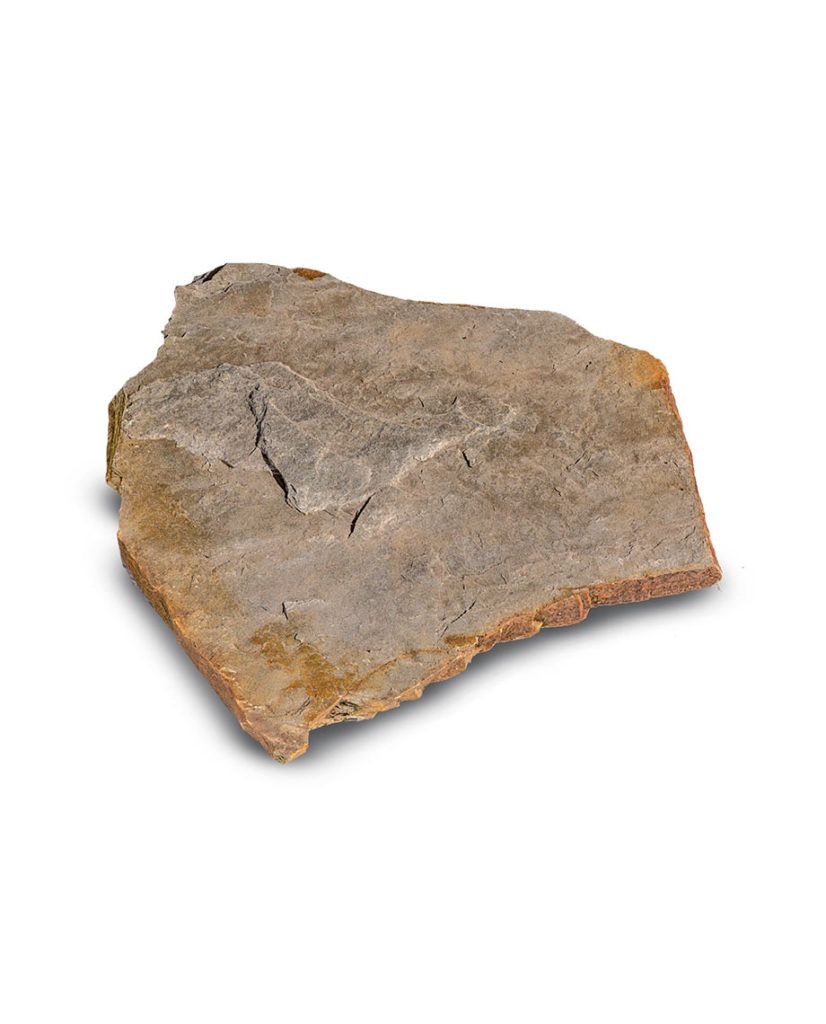 Jardiffusion : Lauze Quartzite rustique