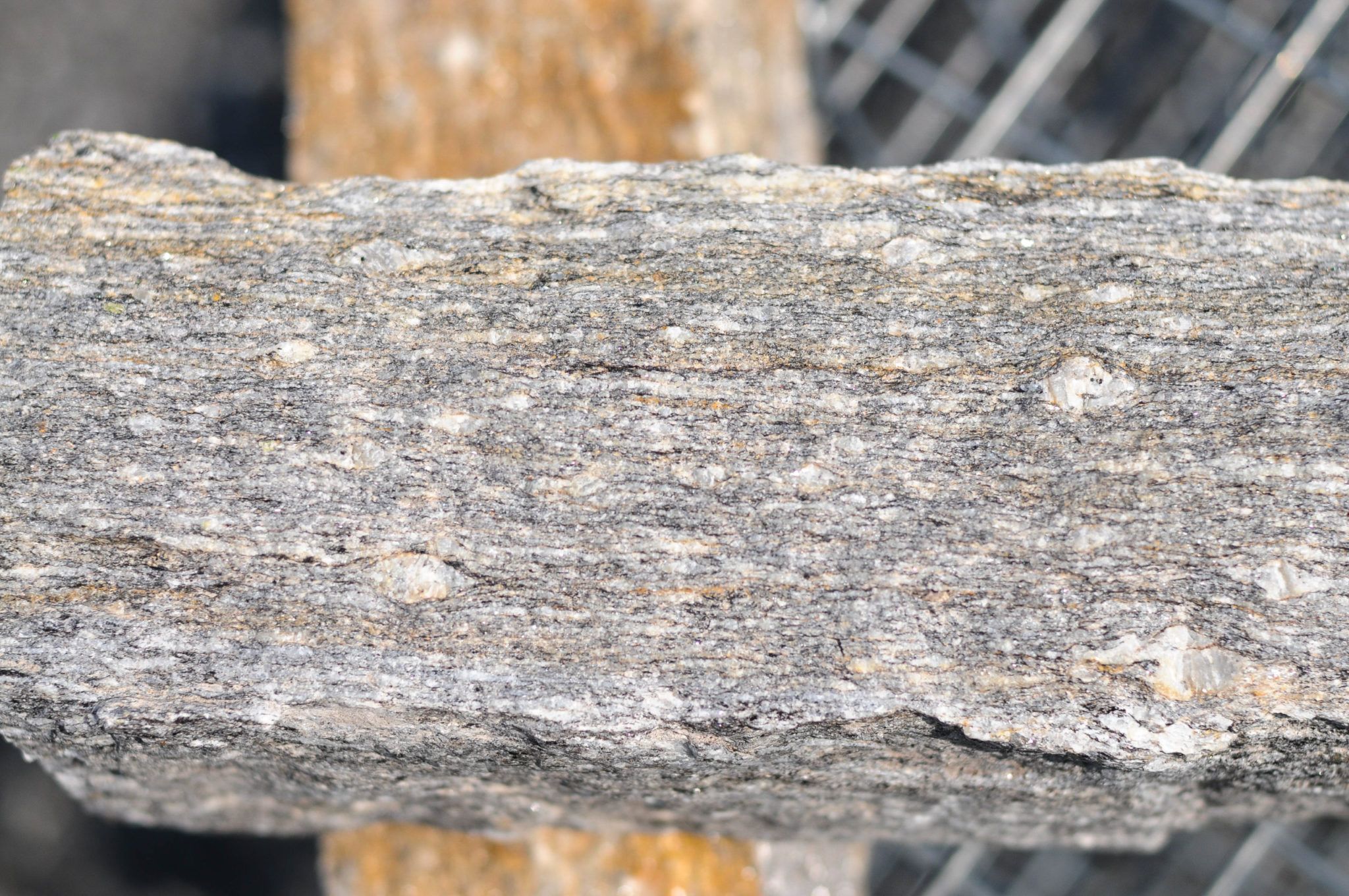 Jardiffusion : Gneiss
