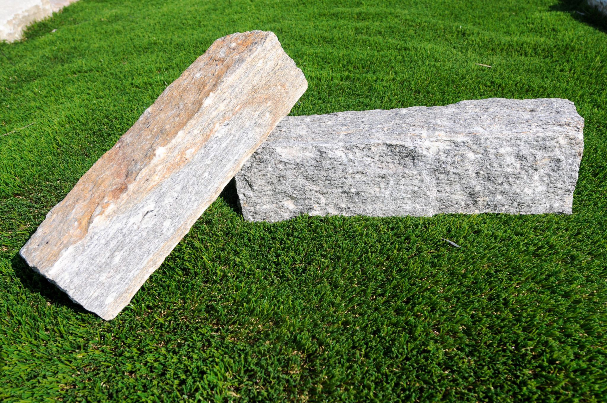 Jardiffusion : Gneiss